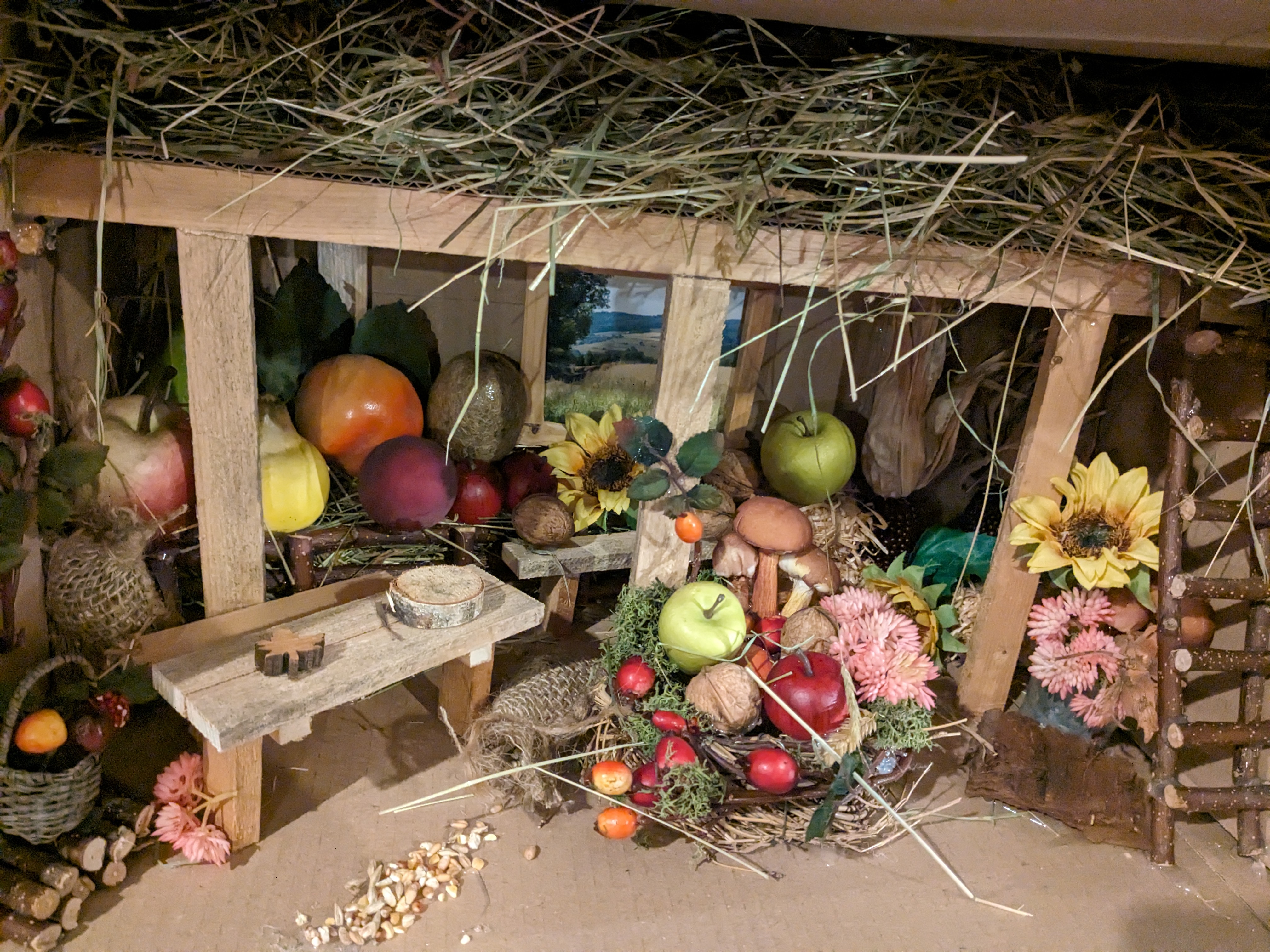 Ausstellung 'Bibel im Karton' - Kath. Pfarreiengemeinschaft Siegmündung
